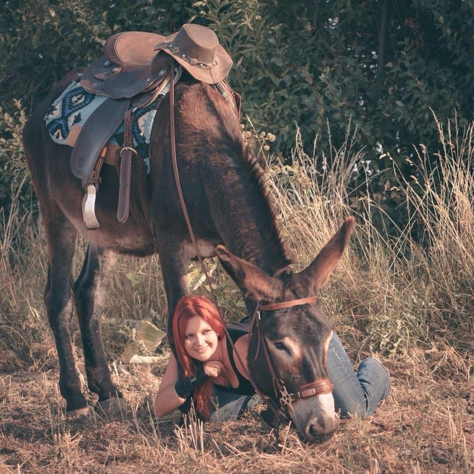 Sächsische Pferdewirtin: "Mein Esel ist der größte und döfste der ...